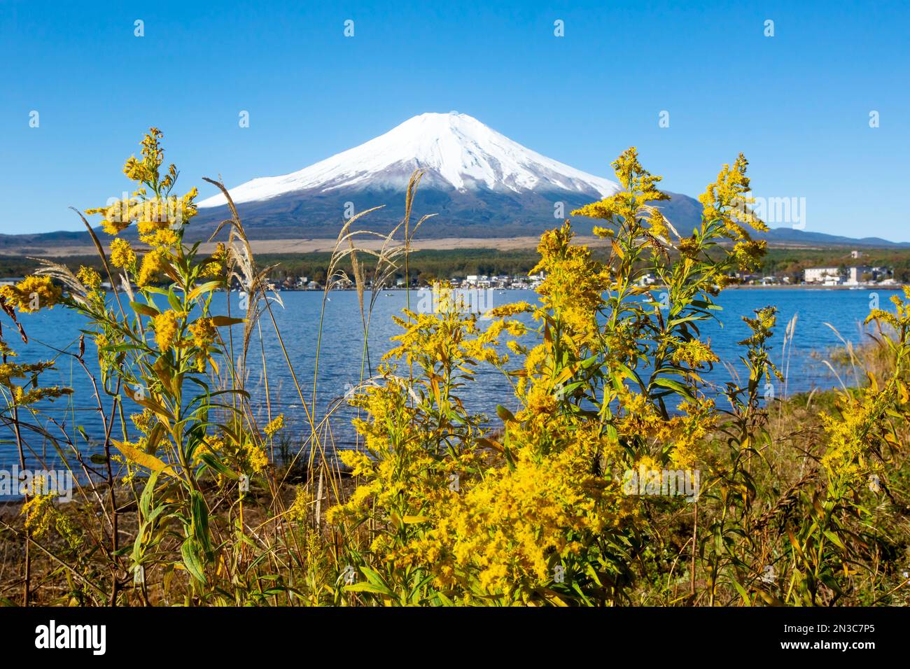 Mount Fuji, as viewed from Lake Yamanakako (Lake Yamanaka), which is ...