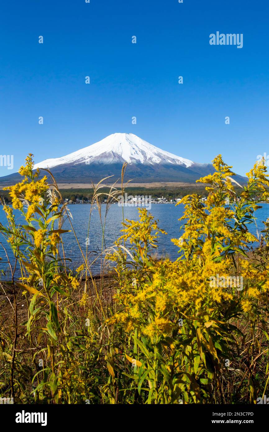 Mount Fuji, as viewed from Lake Yamanakako (Lake Yamanaka), which is ...