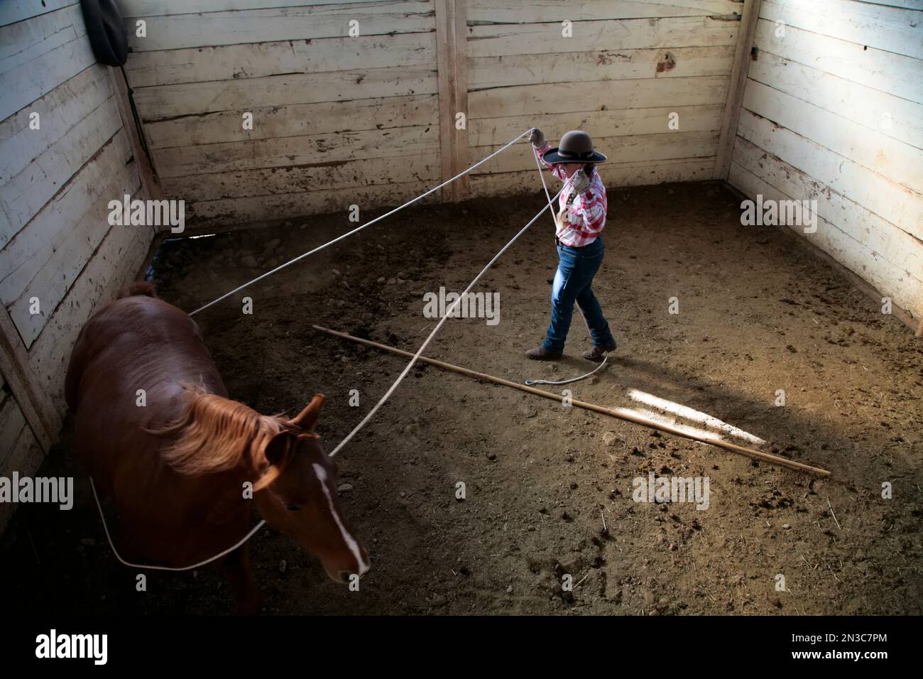 Agricultural rehabilitation hi-res stock photography and images - Alamy