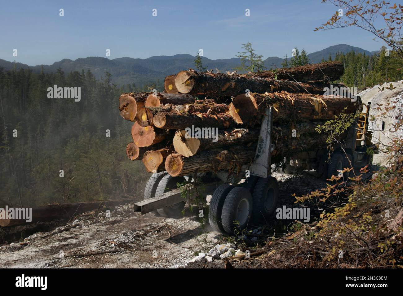 A logging truck hauls timber from the Tongass National Forest to a ...