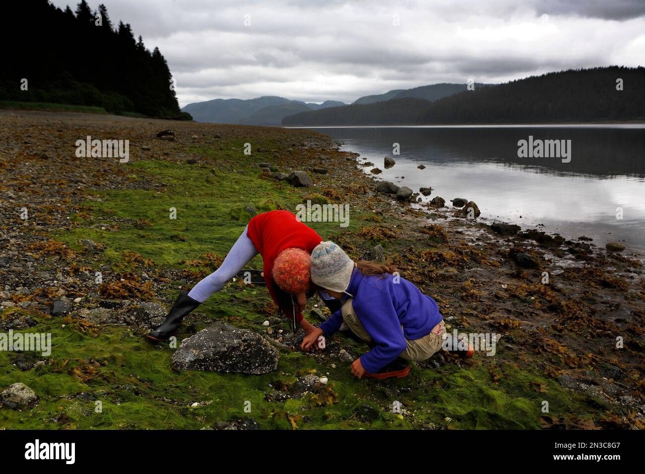 Types of forests hi-res stock photography and images - Alamy