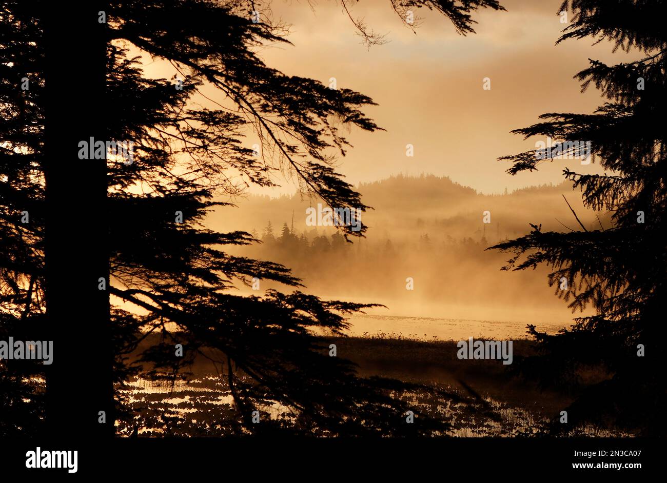 Sunrise gives a warm glow to morning mist rising over Control Lake ...