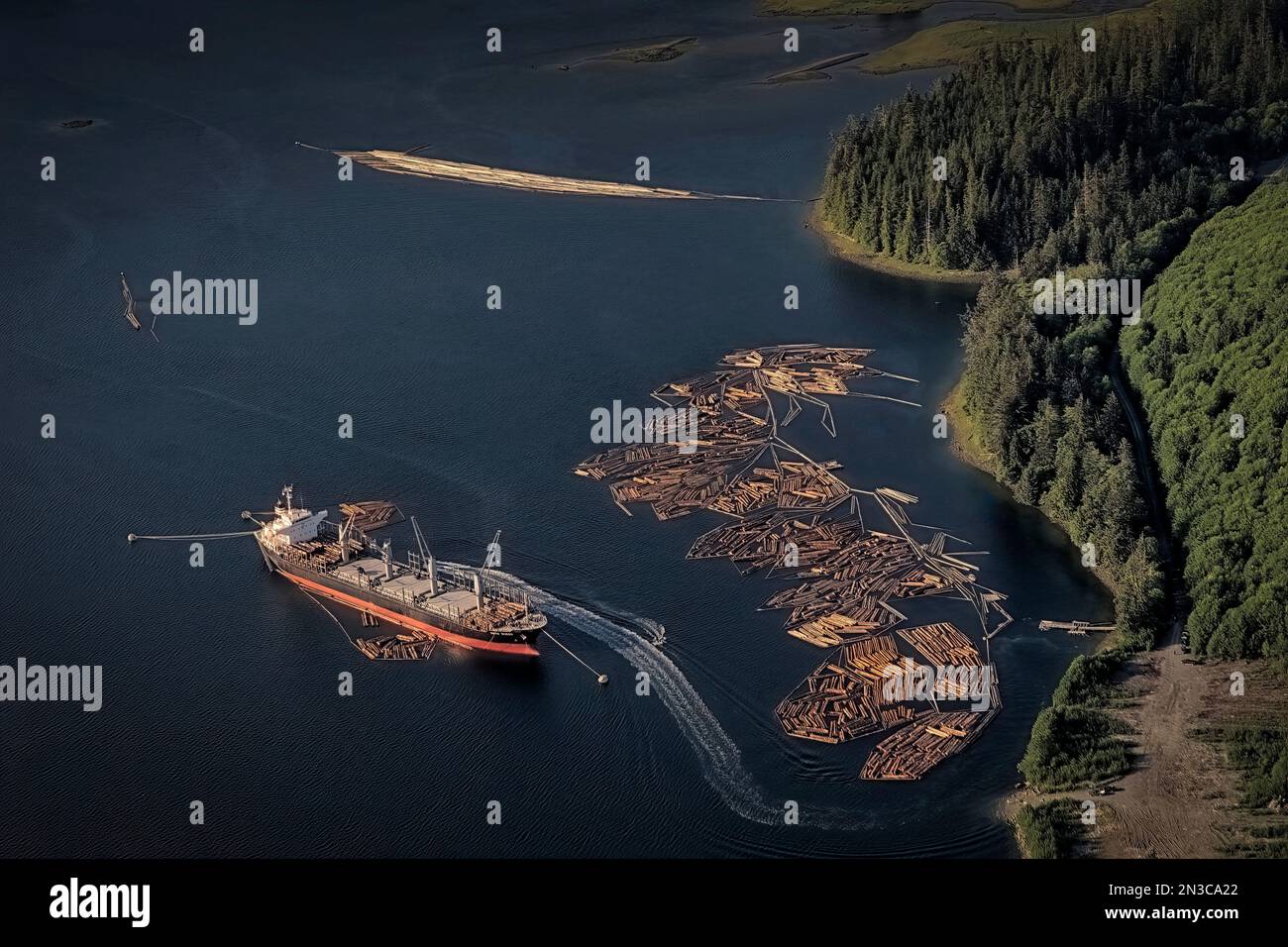 Aerial view of timber, floating logs from a nearby mill in a protected ...
