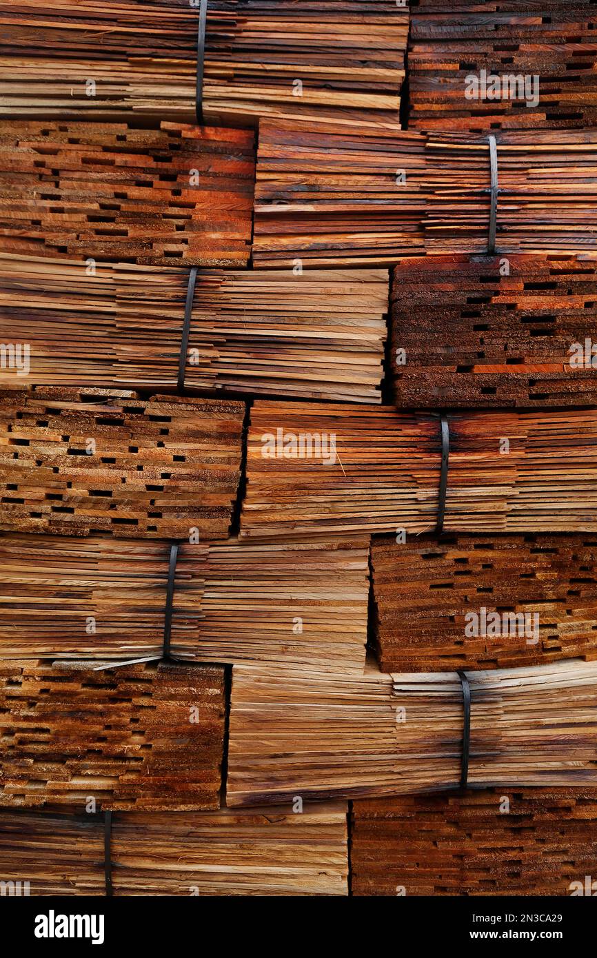 View of stacked and bundled, red cedar shakes contribute to the forest ...