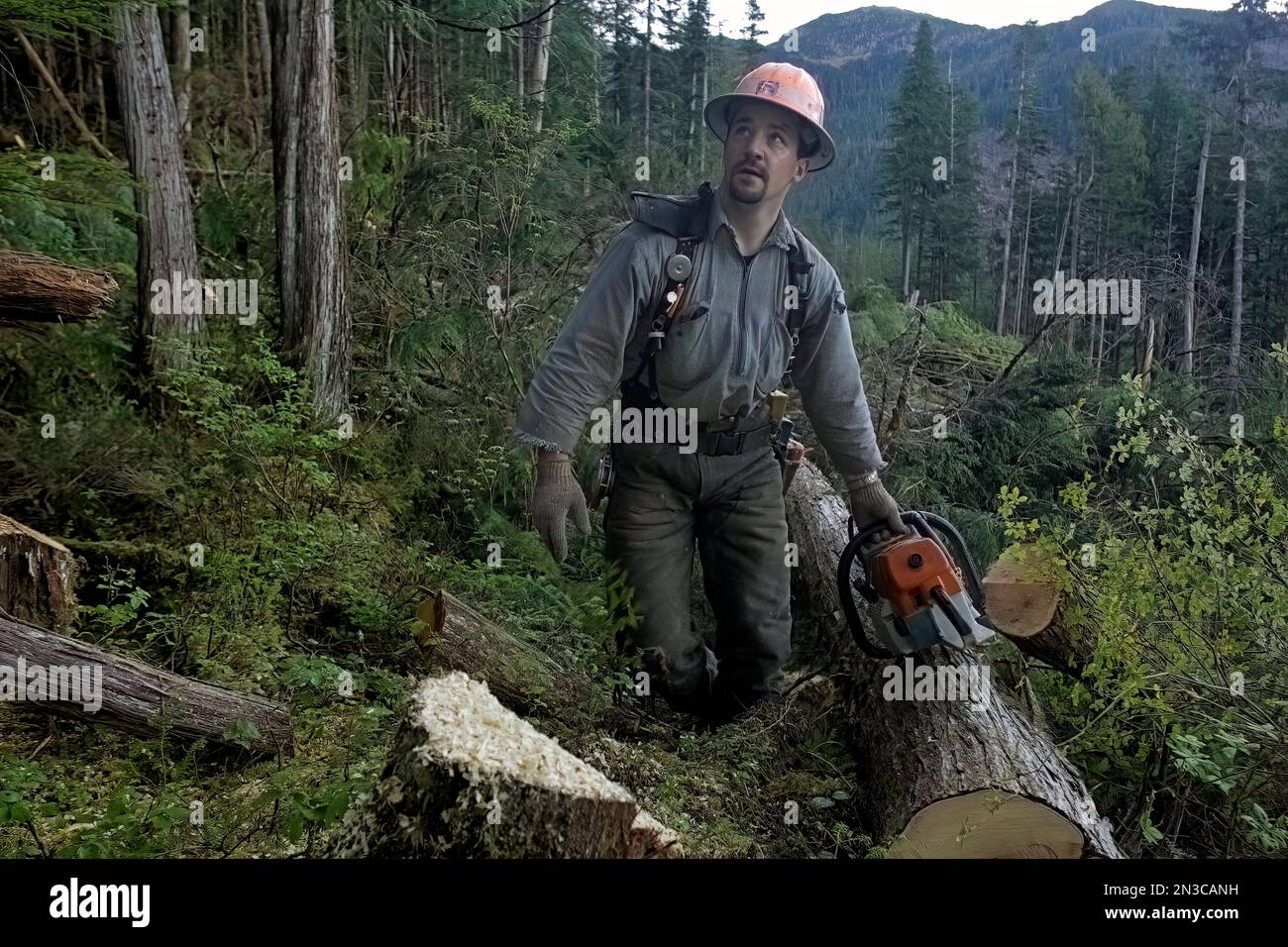 Timber faller hi-res stock photography and images - Alamy