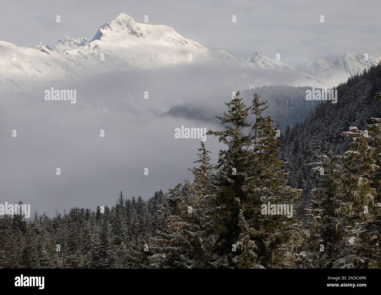 Early morning fog lifts revealing snowy Mount Juneau above the Tongass ...