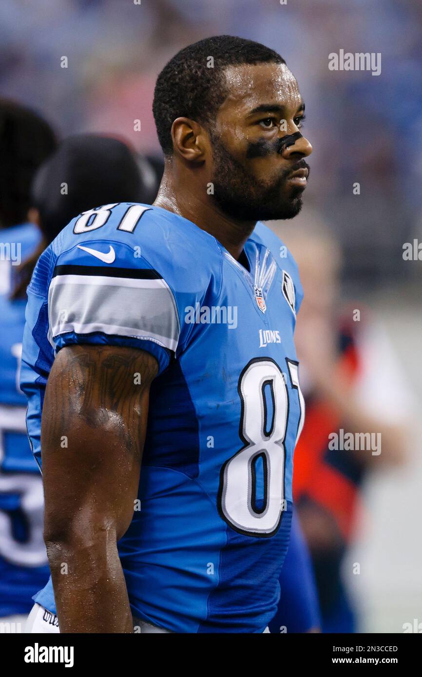 Detroit Lions wide receiver Calvin Johnson (81) on the sideline against ...