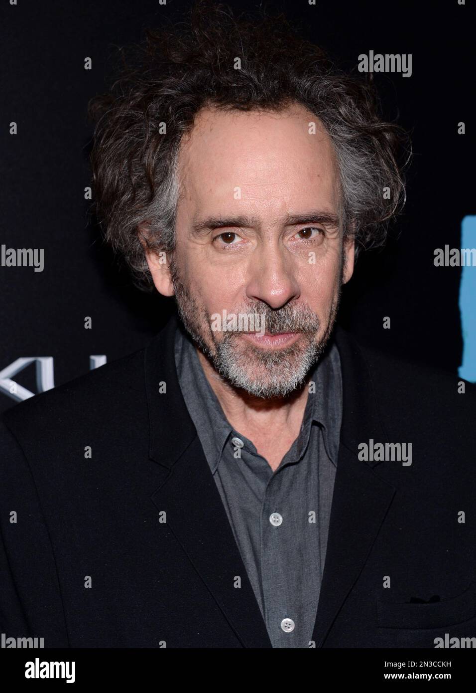 Tim Burton attends the "Big Eyes" premiere at the Museum of Modern Art ...