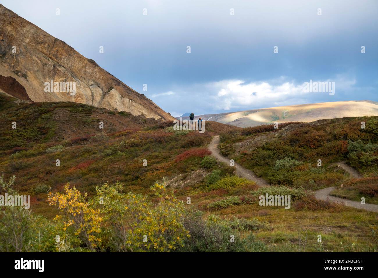 Hikers at Polychrome Overlook; Denali National Park And Preserve ...