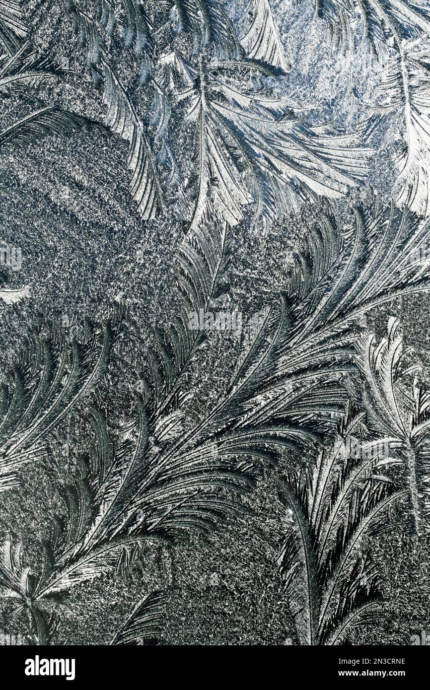 Beautiful ice patterns of window frost; Sitka, Alaska, United States of ...