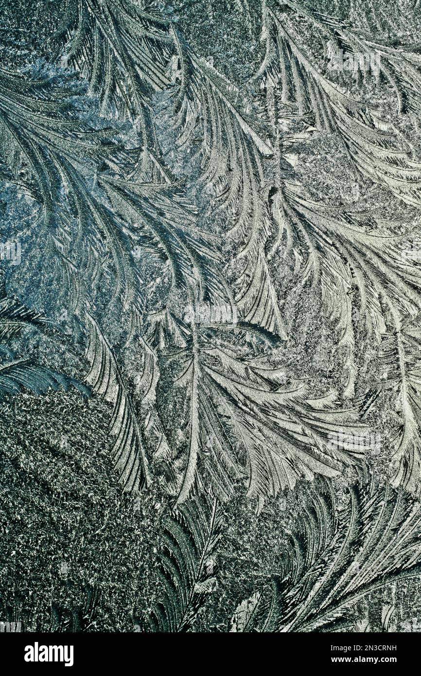 Beautiful ice patterns of window frost; Sitka, Alaska, United States of ...