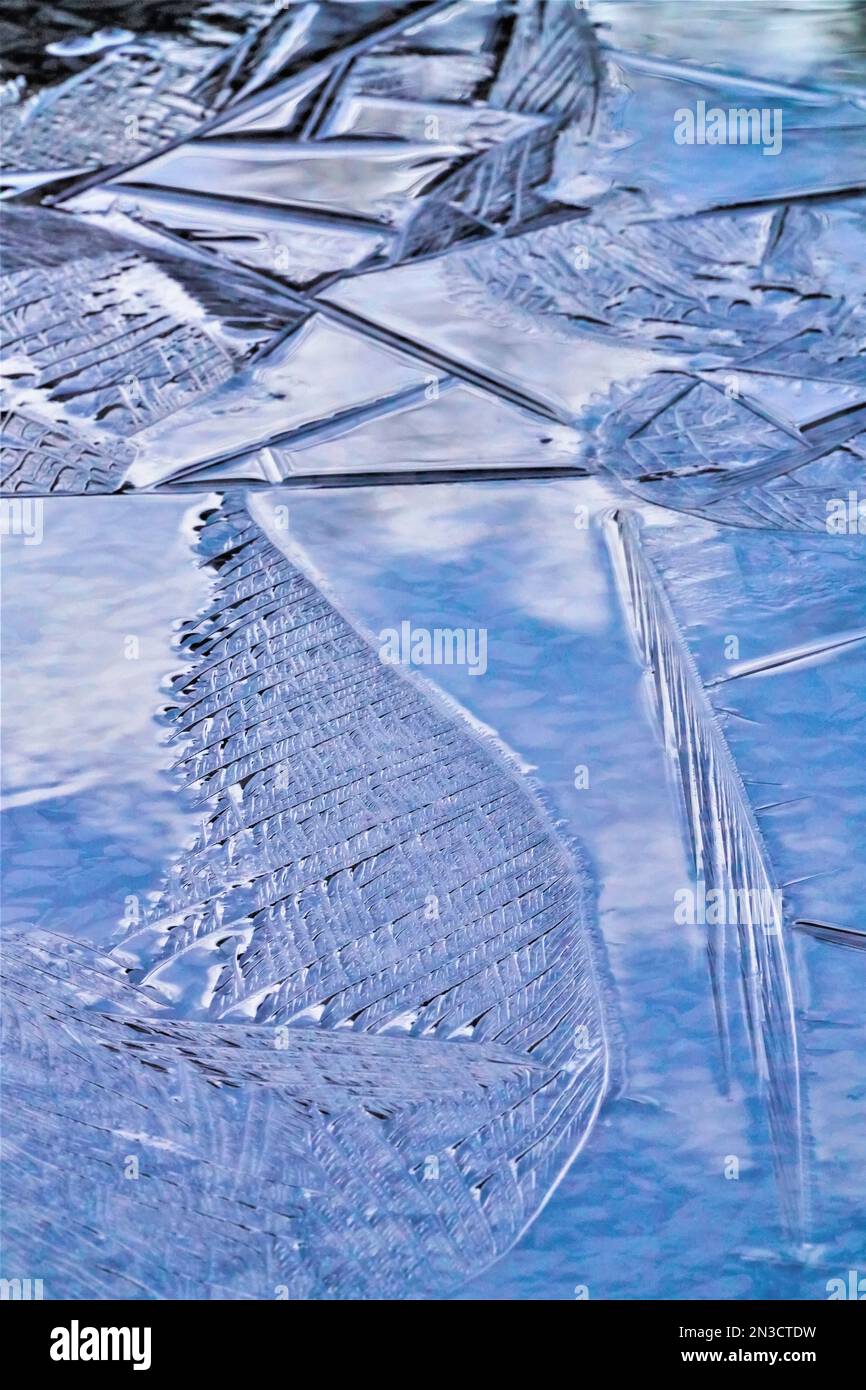Smooth, geometric ice patterns on streets; Sitka, Alaska, United States ...