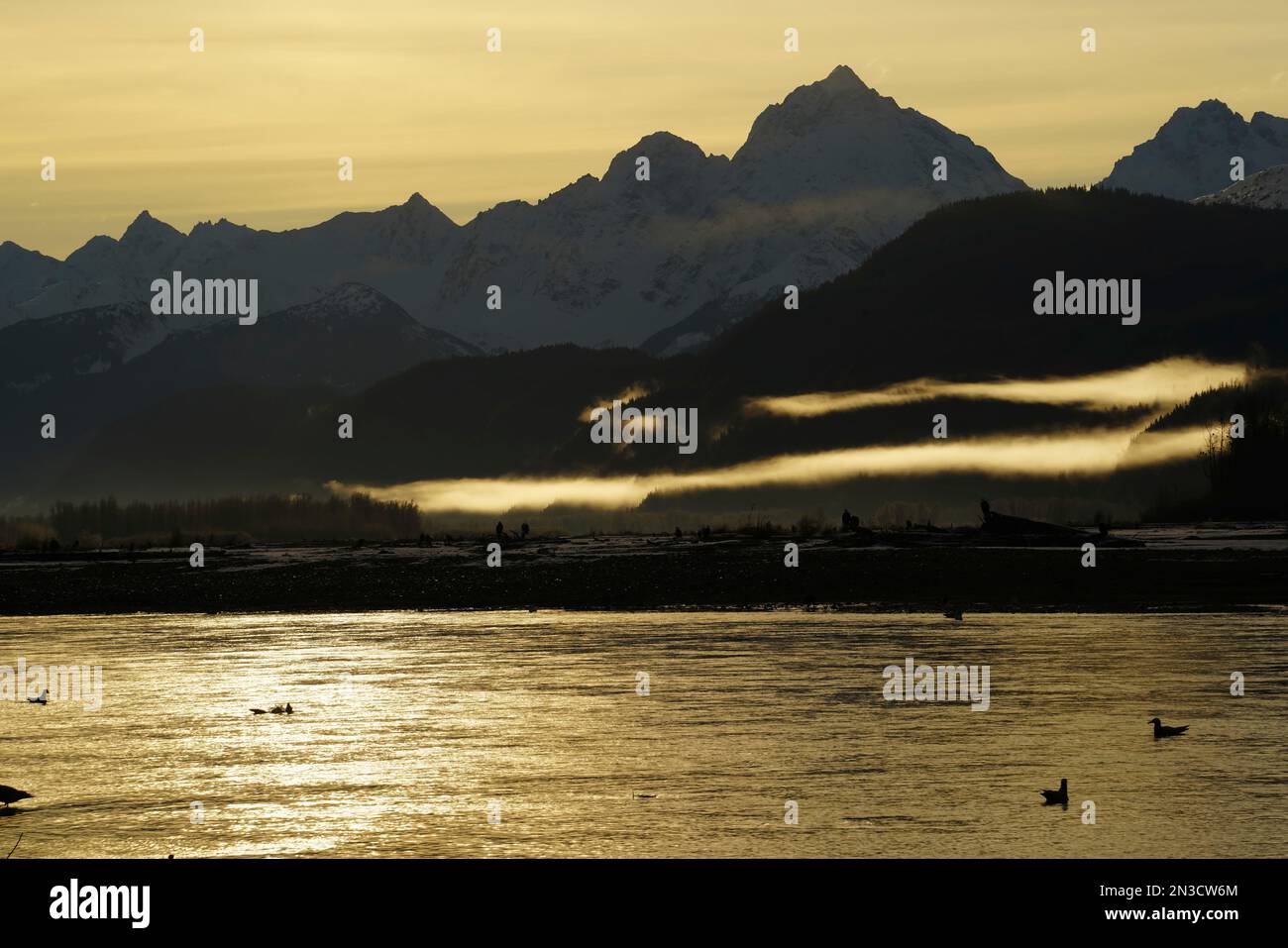 Mist rising over the riverbanks of the Chilkat River at twilight near ...