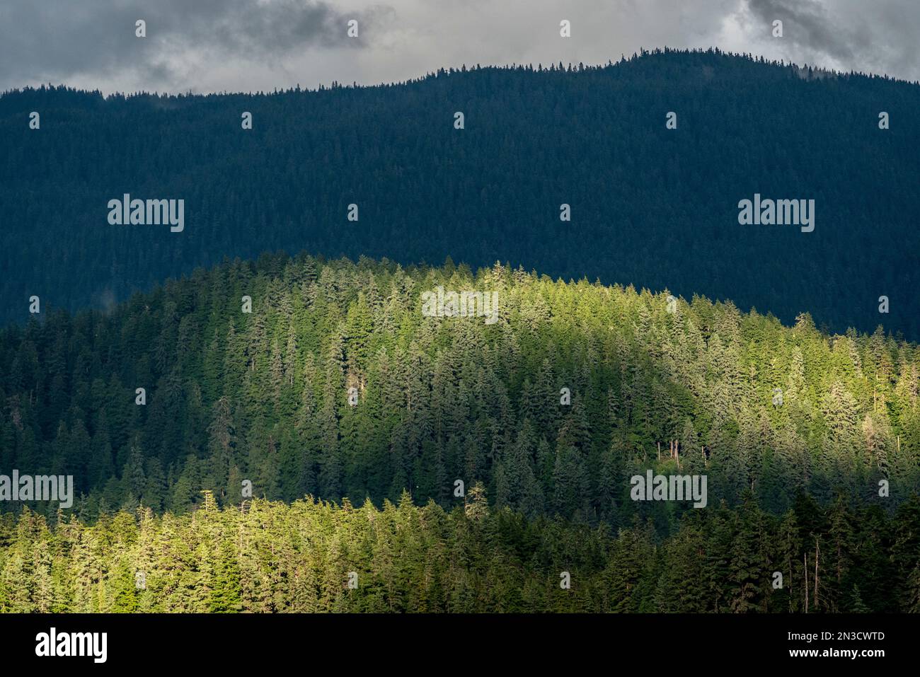 Sunlight illuminating forested hills in the Chatham Strait area of ...