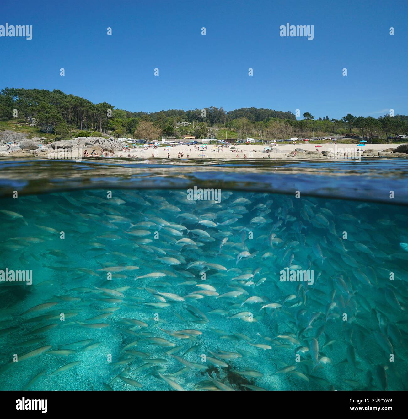 Spain Atlantic coast beach in summer with shoal of fish underwater in ...