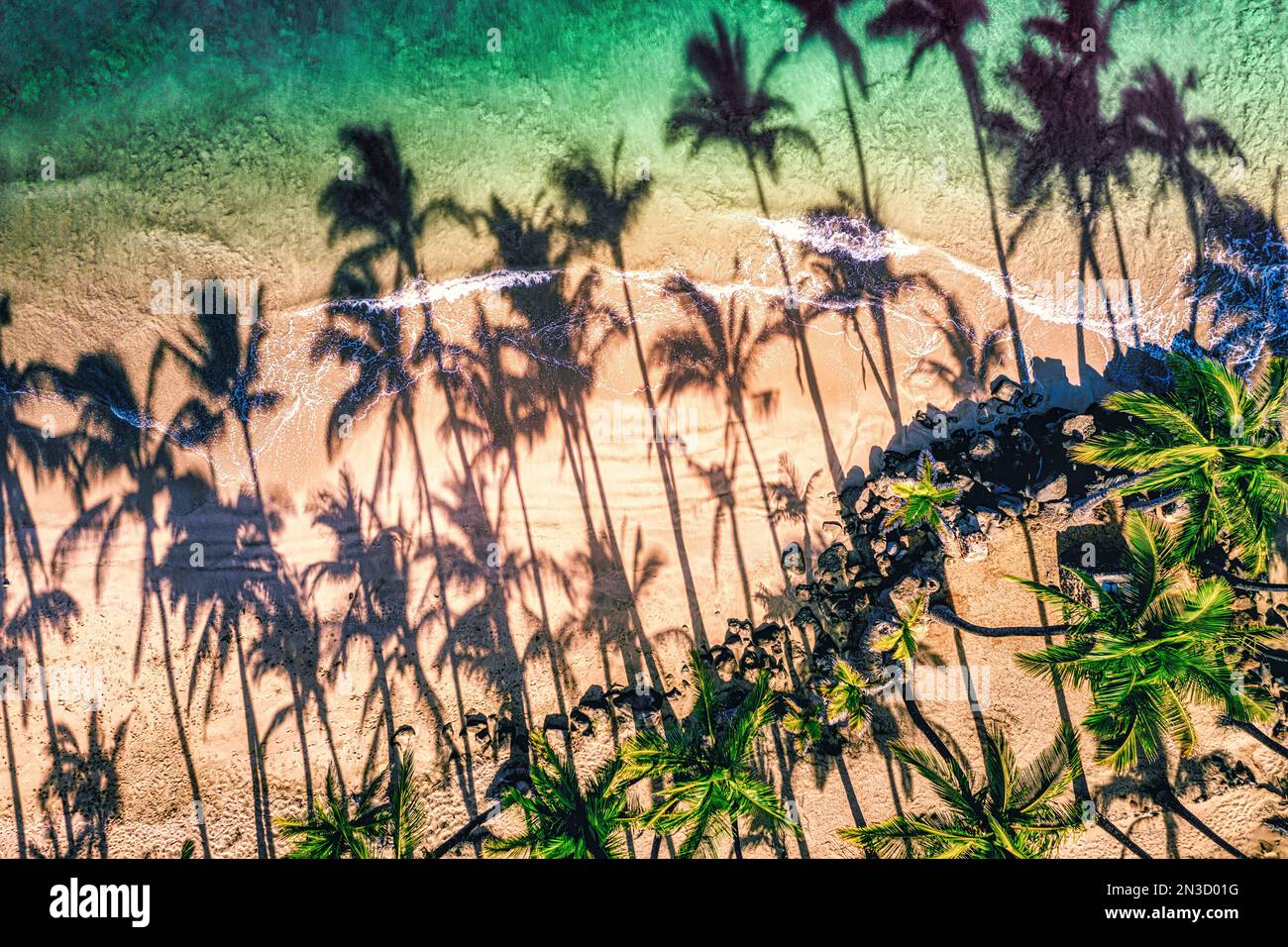 Aerial view of palm tree shadows on the sand of a tropical beach at the ...