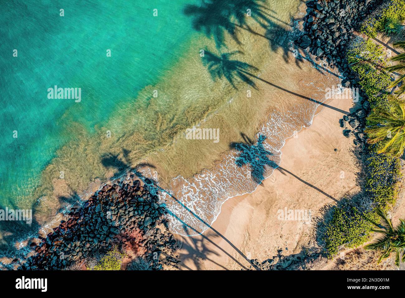 Aerial view of palm tree shadows on the sand of a tropical beach at the ...