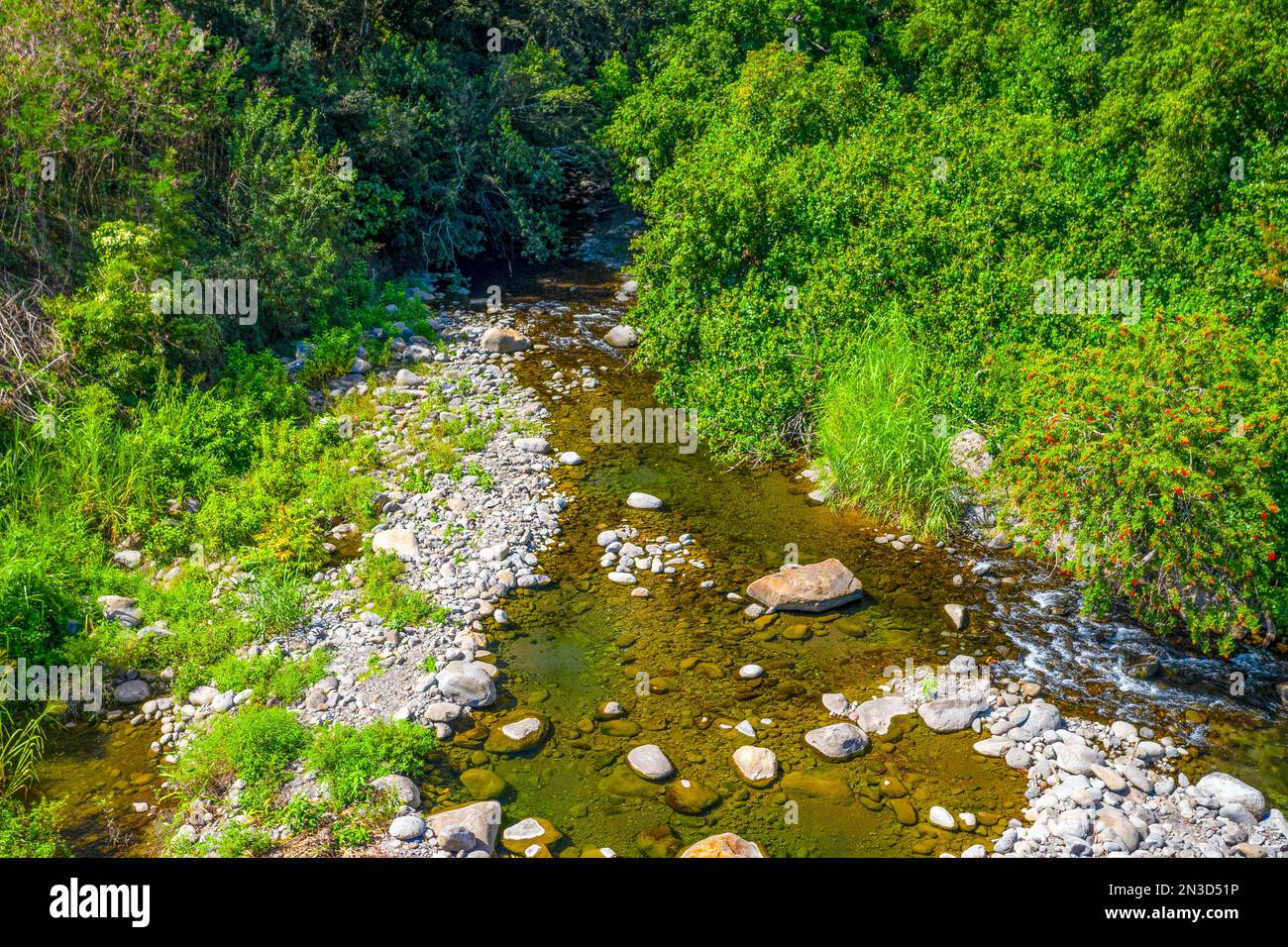 Aerial view of a stream flowing through the lush foliage on the ...