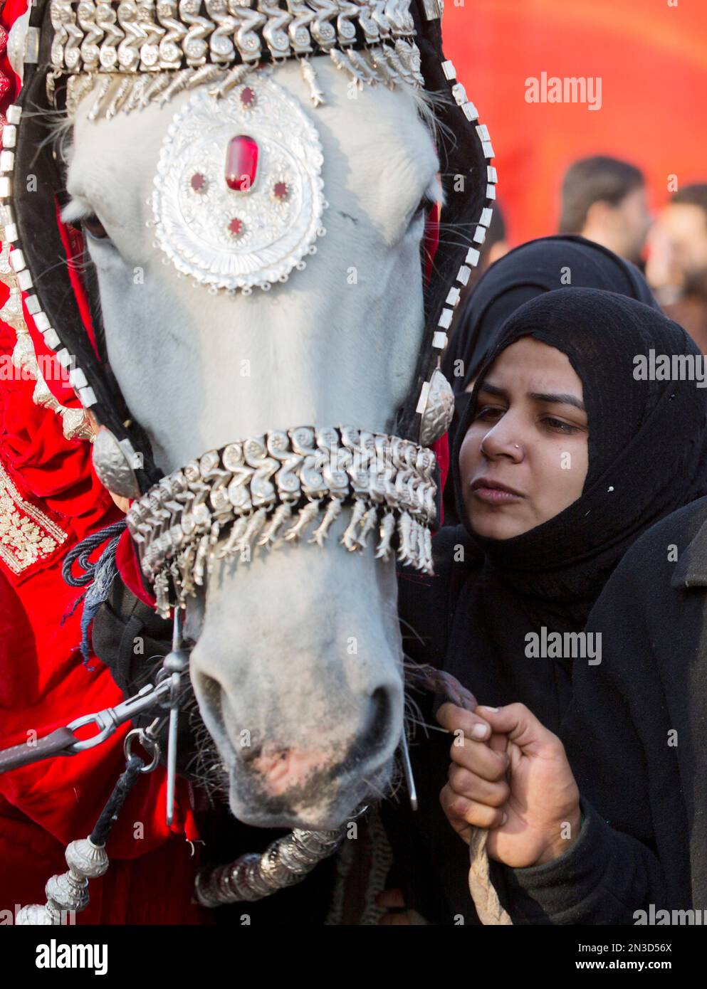 Hazrat Imam Hussain Horse