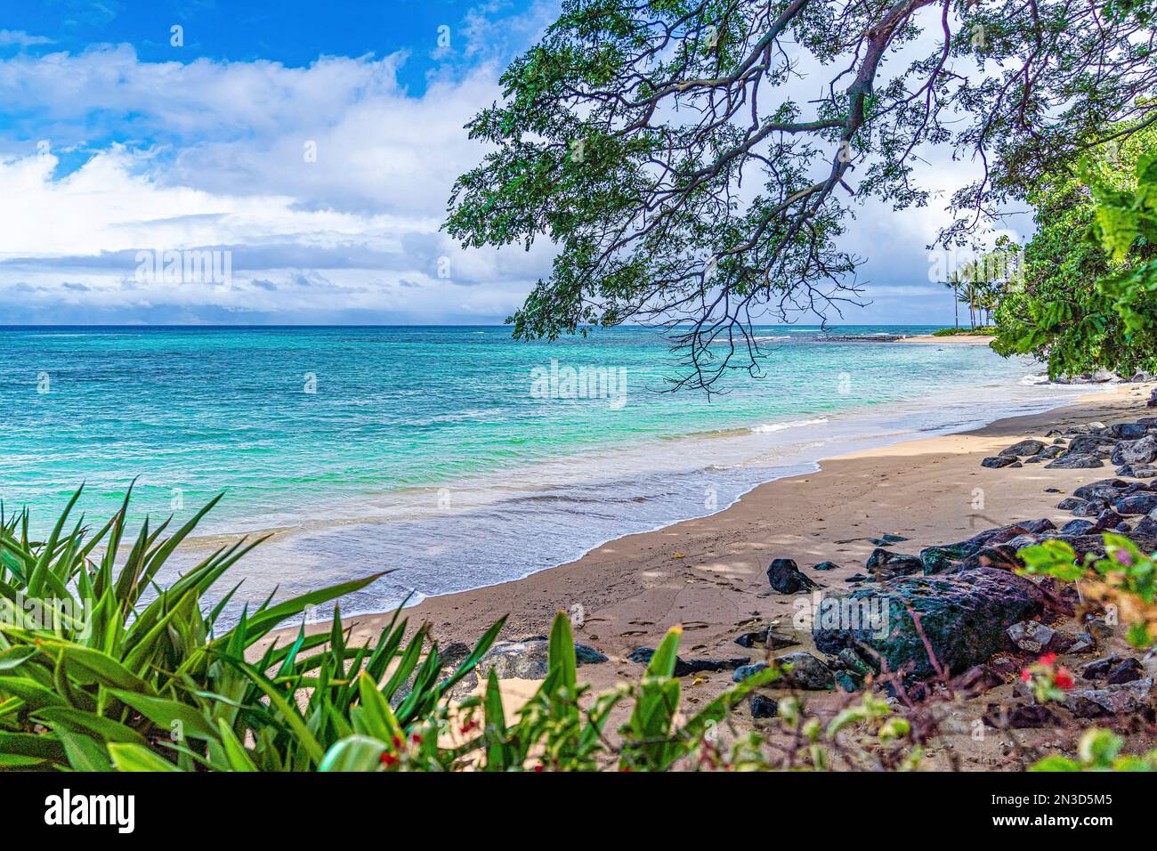 Turquoise water of the Pacific Ocean at the shore of a secluded beach ...