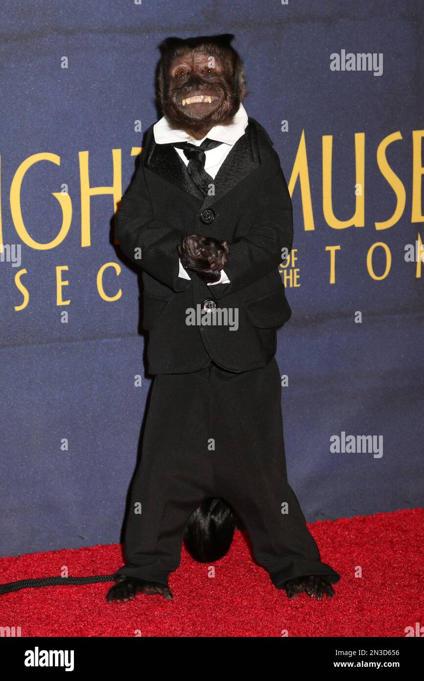 Dexter the monkey attends the premiere of "Night at the Museum: Secret ...