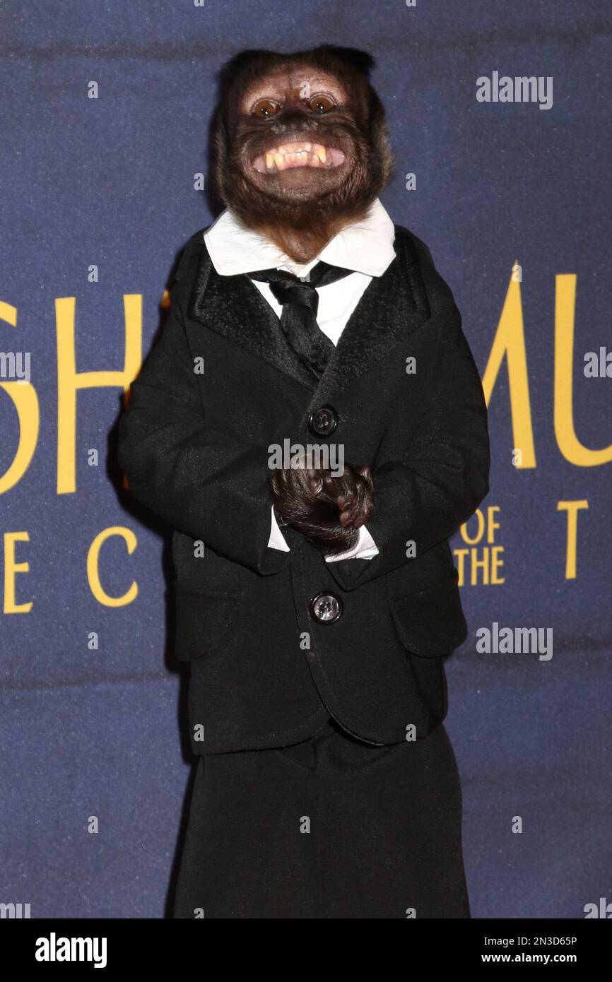Dexter the monkey attends the premiere of "Night at the Museum: Secret ...