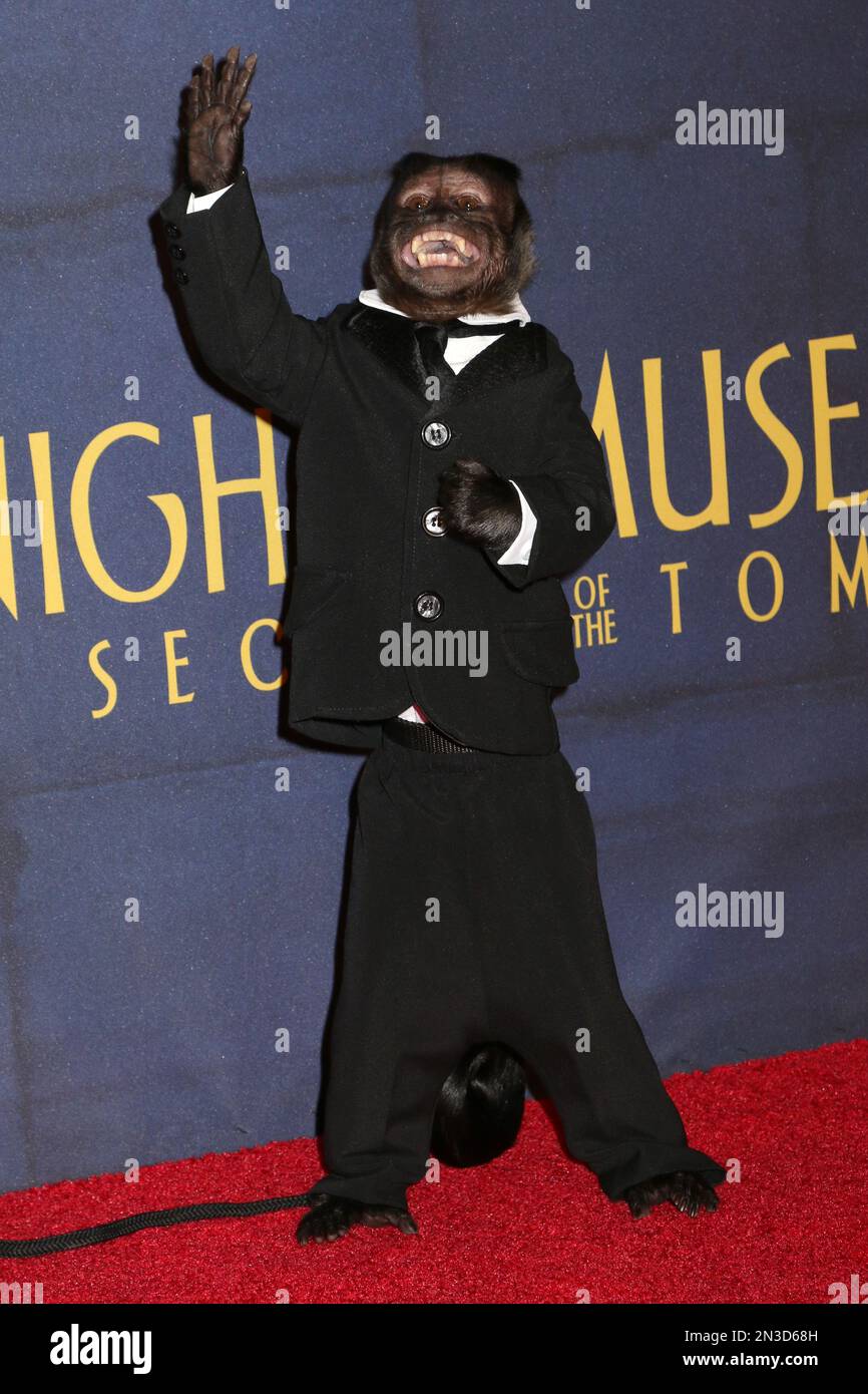 Dexter the monkey attends the premiere of "Night at the Museum: Secret ...