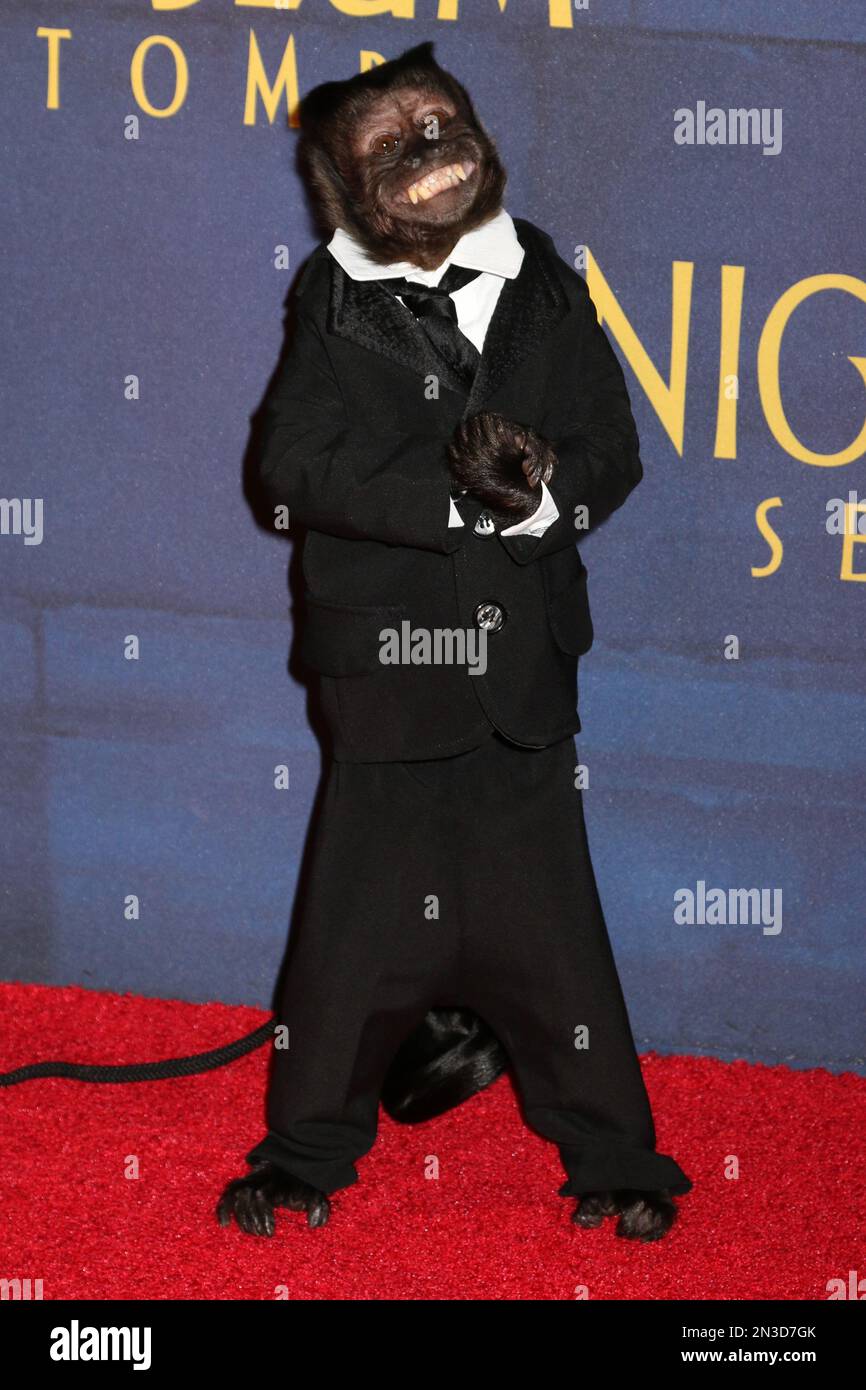 Dexter the monkey attends the premiere of "Night at the Museum: Secret ...