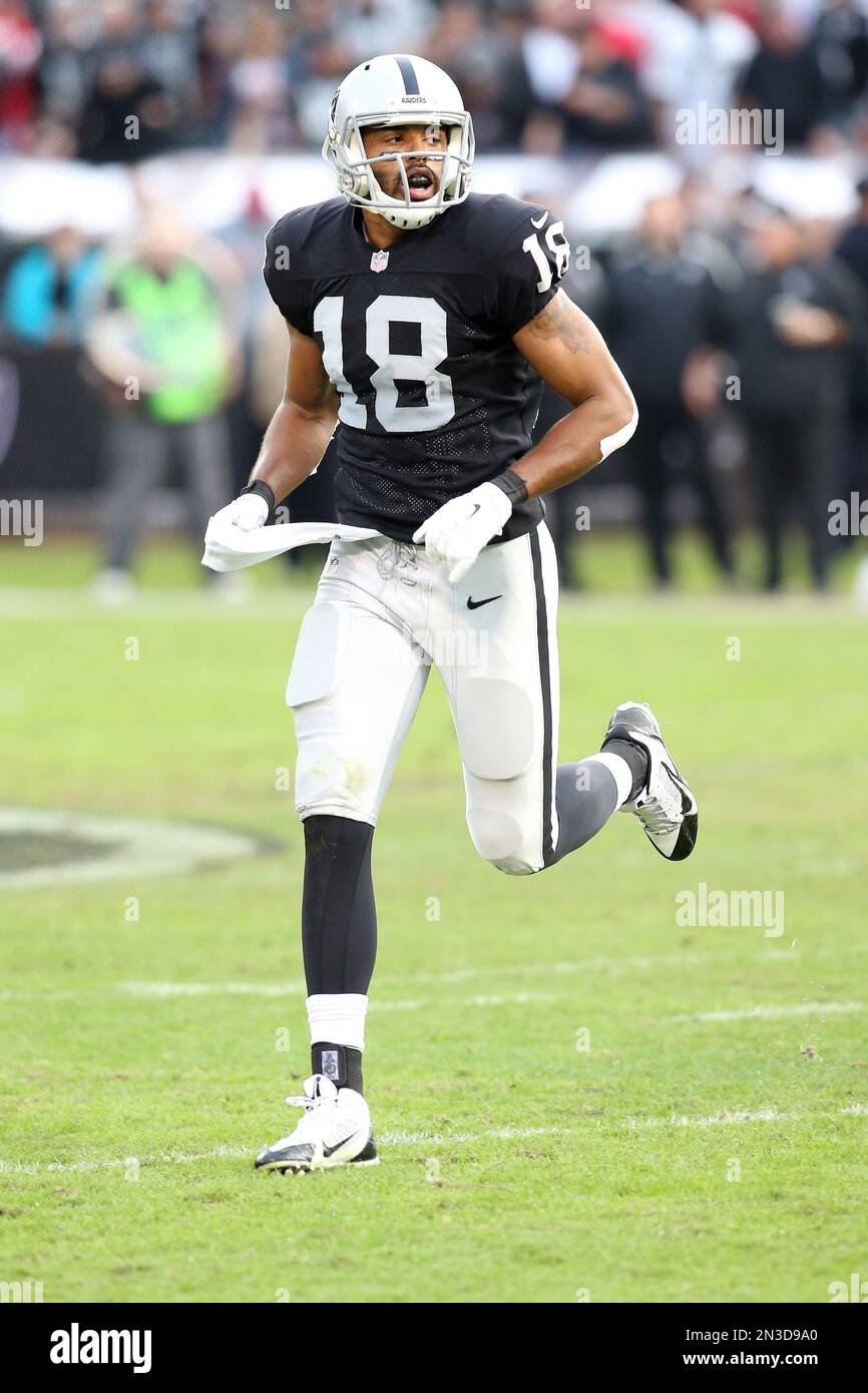 Andre Holmes Raiders