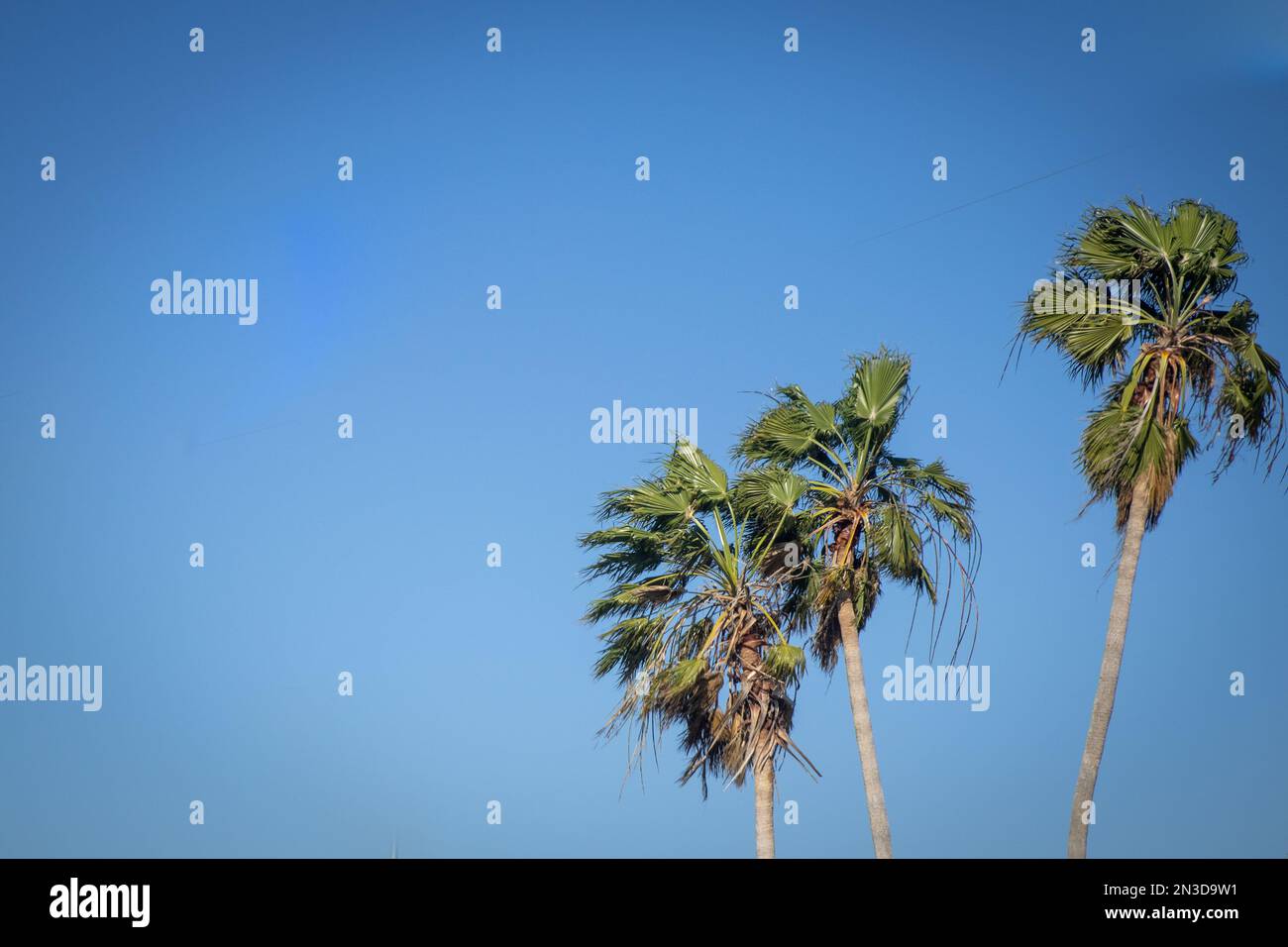 Breezy text hi-res stock photography and images - Alamy