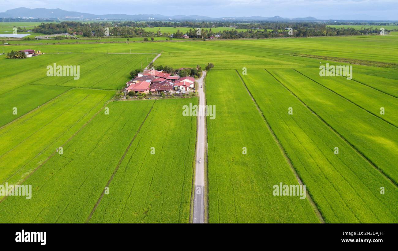 An aerial view of a vast agricultural field under a bright sunny day ...