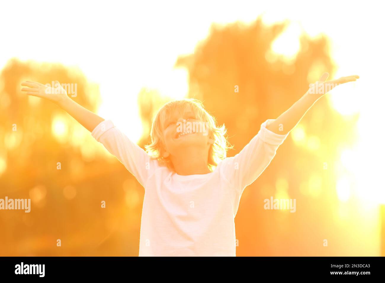 Cute little boy outdoors at sunset. Child spending time in nature Stock ...