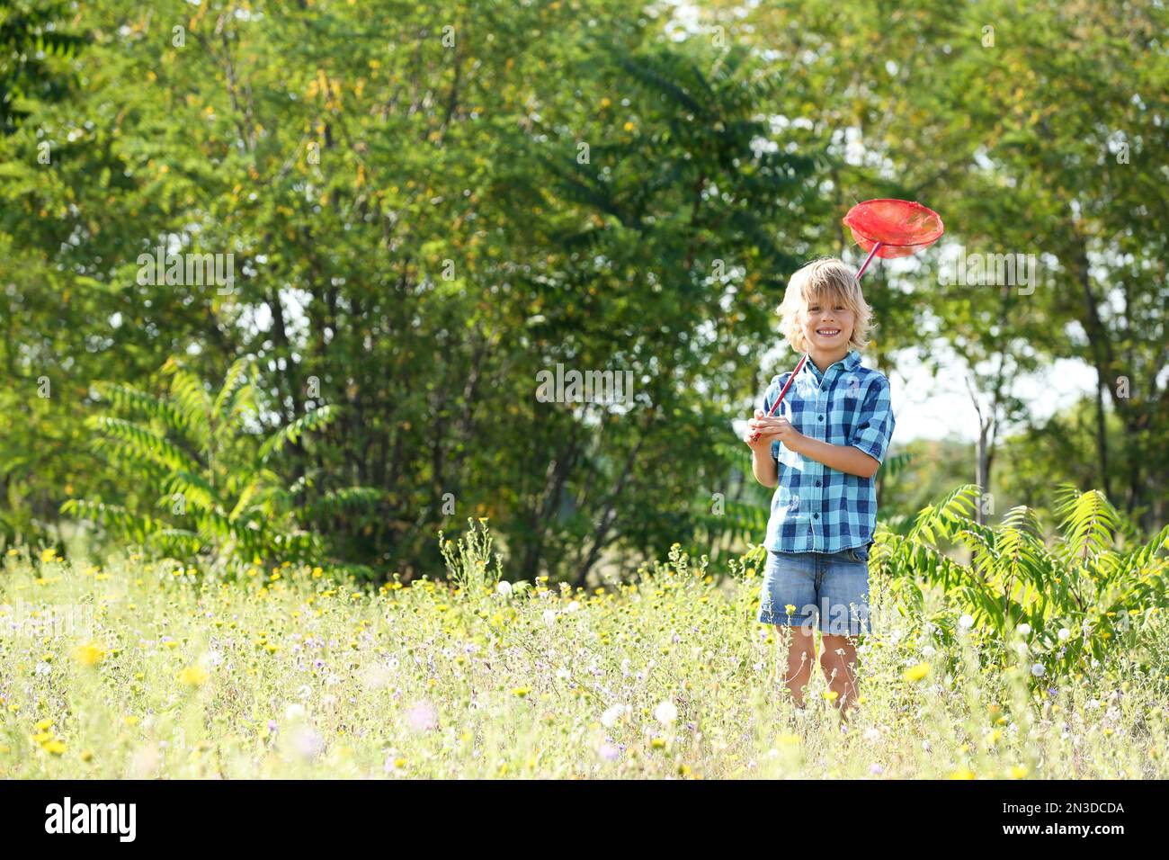 Cute little boy with butterfly net outdoors, space for text. Child ...