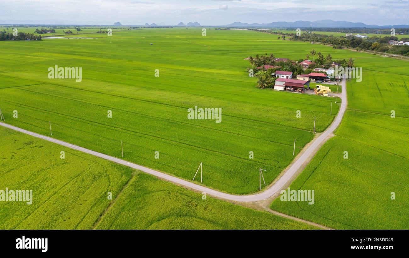 An aerial view of a vast agricultural field under a bright sunny day ...