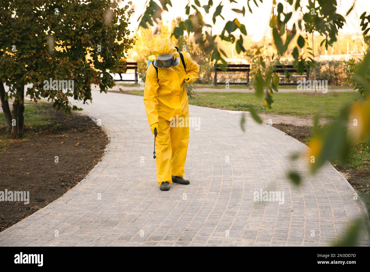 Person in hazmat suit disinfecting street pavement with sprayer ...