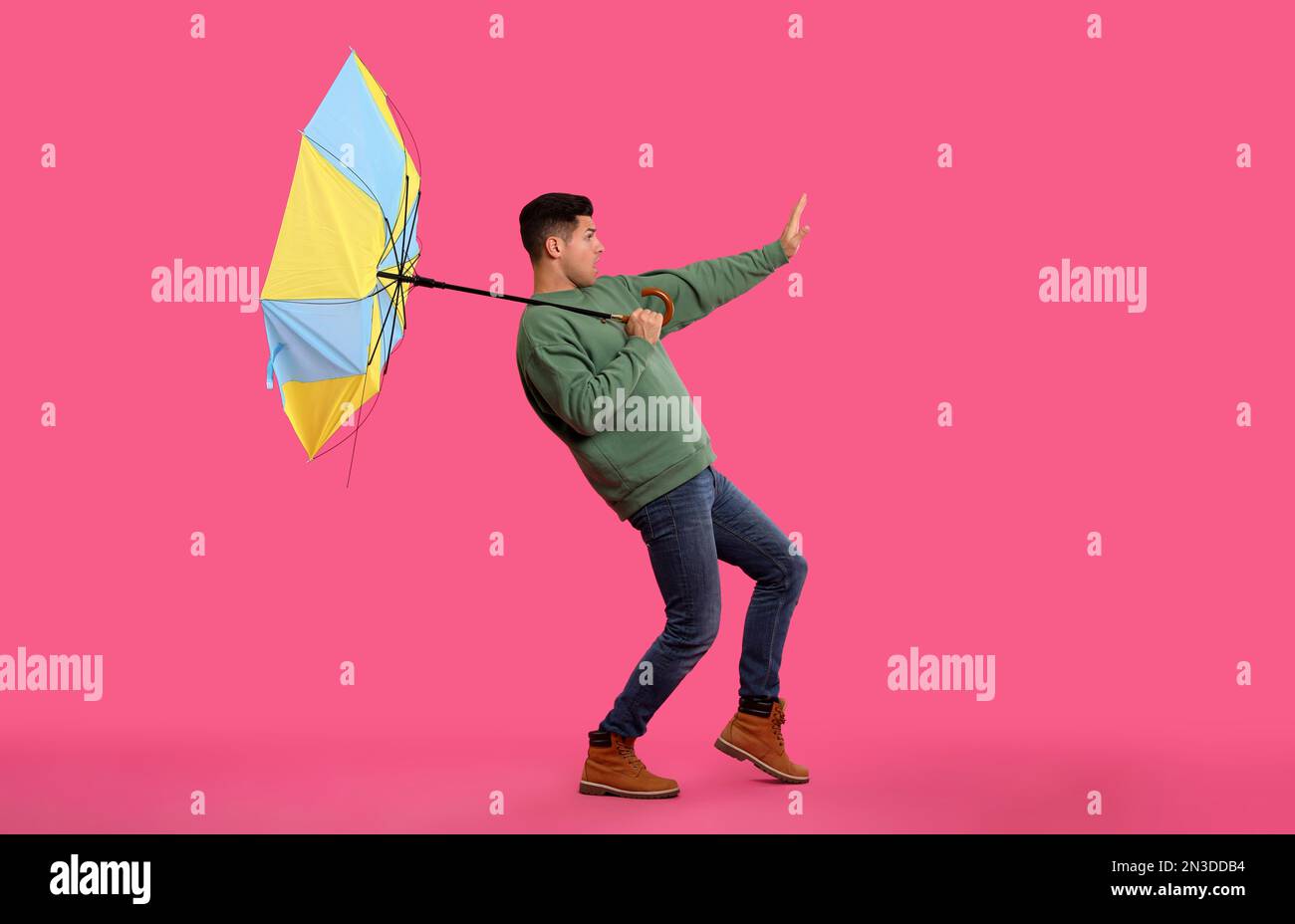 Emotional man with umbrella caught in gust of wind on pink background ...