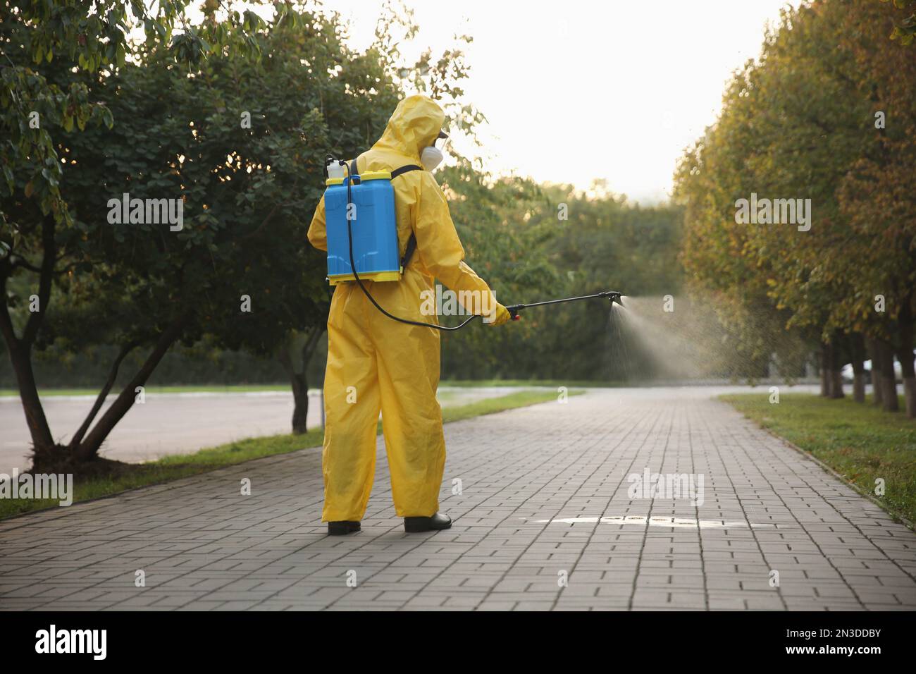 Person in hazmat suit disinfecting street pavement with sprayer, back ...