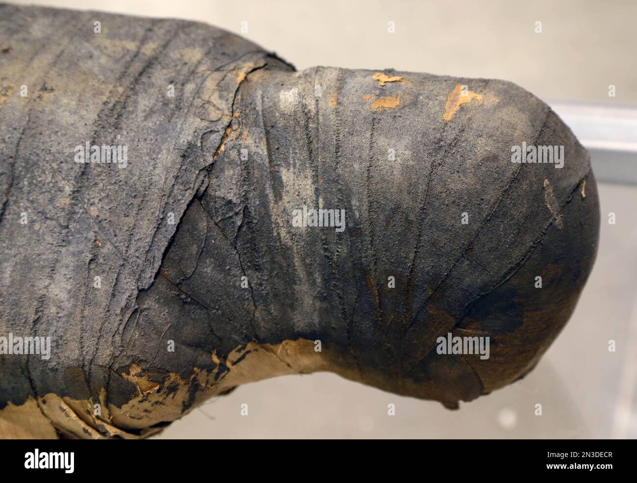 The mummified body of Minirdis, a 14-year-old Egyptian boy who was the ...