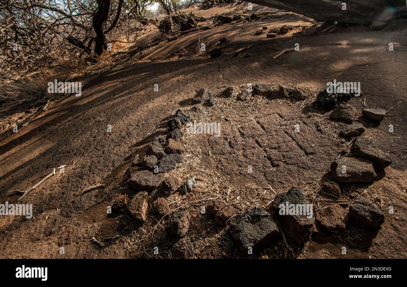 Rock carving at the Puako Petroglyph Archaeological District on the ...
