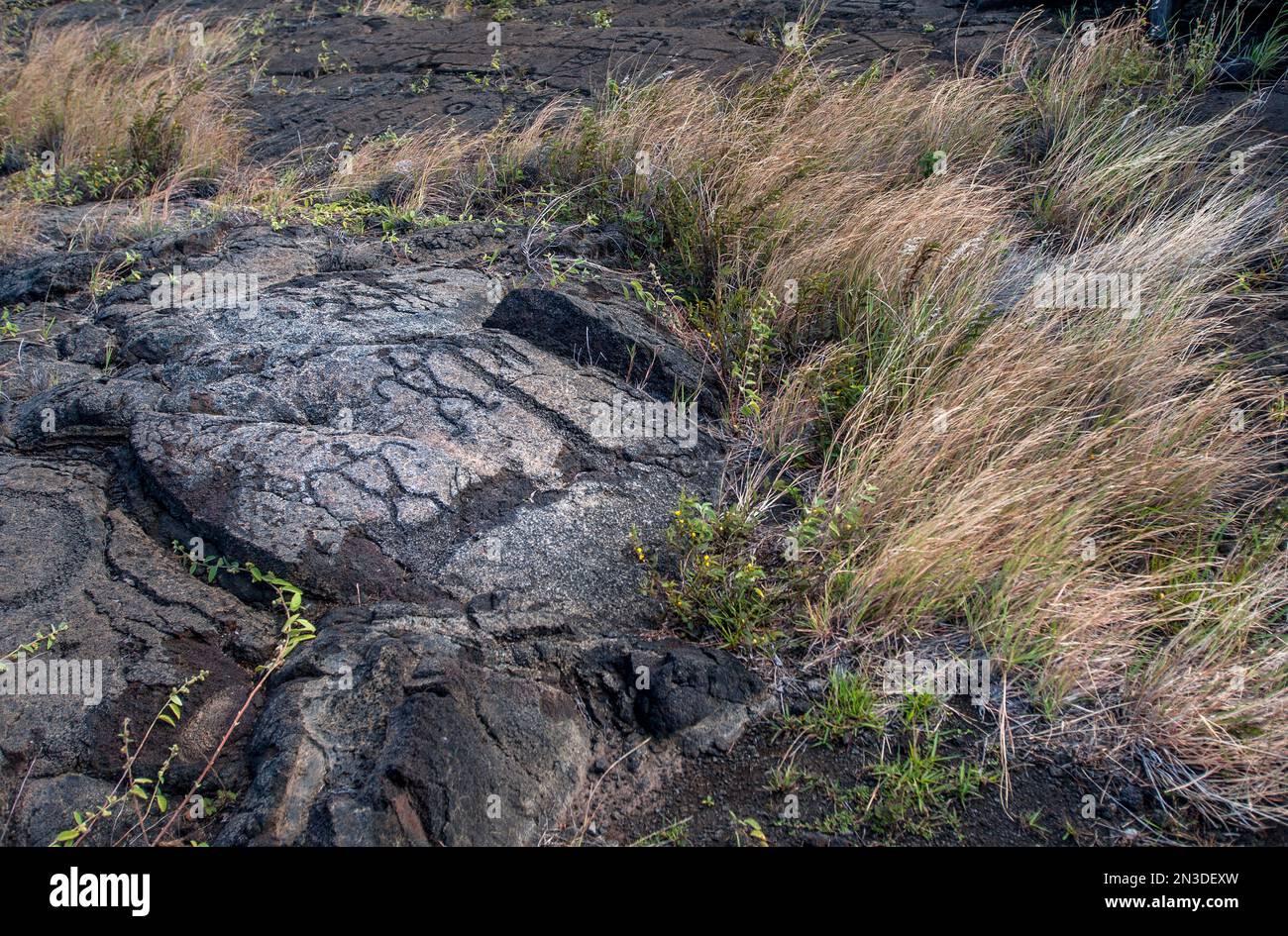 Located on the southern flank of Kīlauea volcano on the Big Island of ...