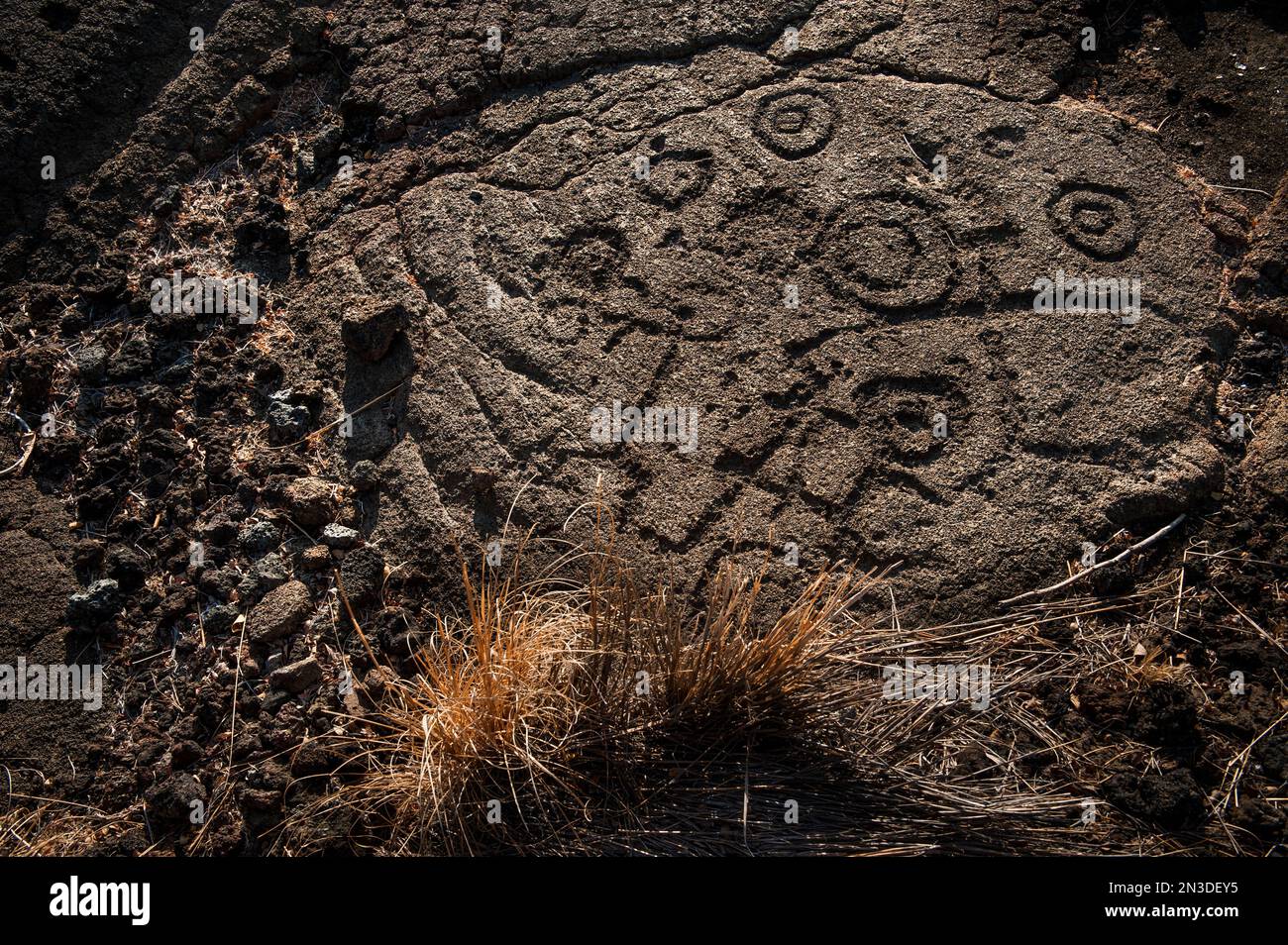 Rock carving at the Puako Petroglyph Archaeological District on the ...