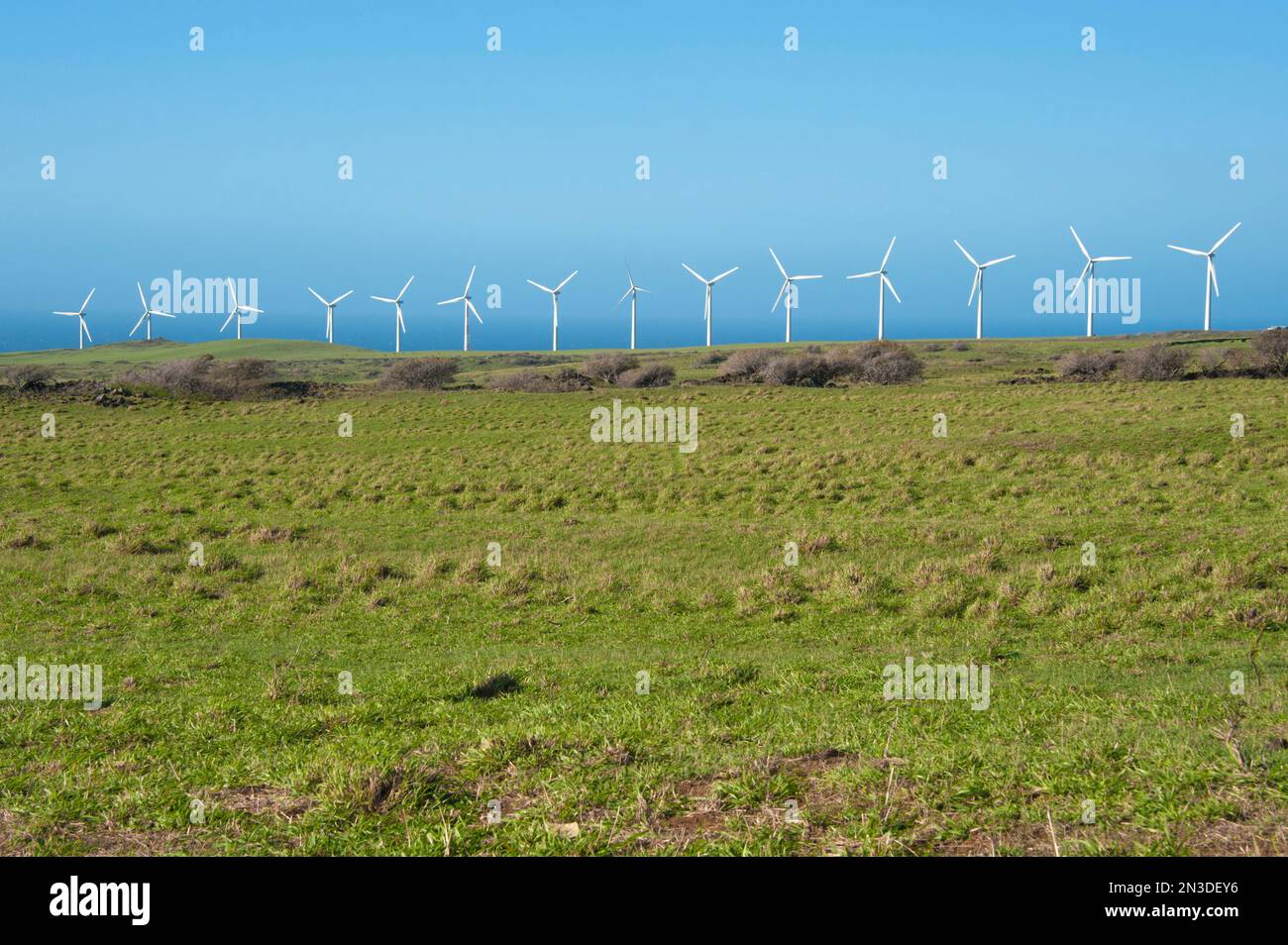 Risen energy hi-res stock photography and images - Alamy