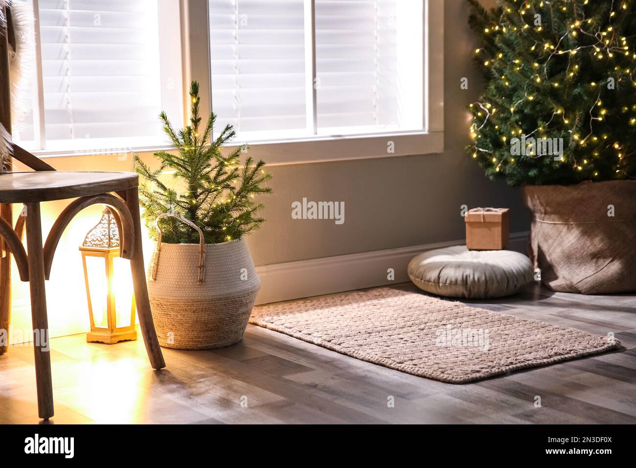 Small and big Christmas trees near window in room. Festive interior ...