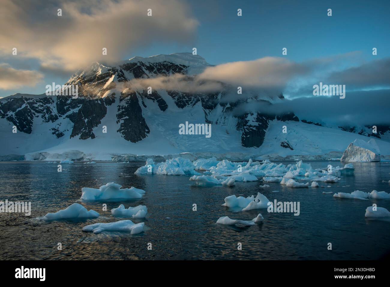 Darco island penguin colonies hi-res stock photography and images - Alamy