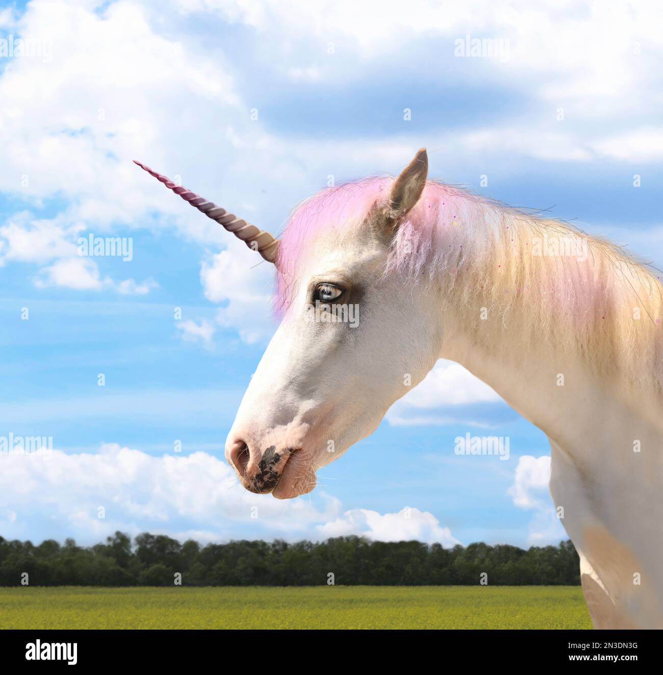 Amazing unicorn with beautiful mane in field on sunny day Stock Photo ...