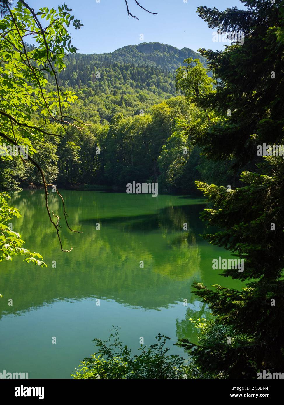 Lake Biograd below the forest covered maountains Stock Photo - Alamy
