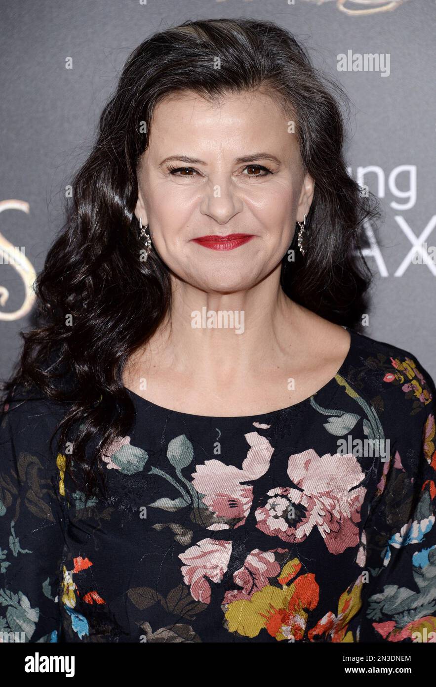 Actress Tracey Ullman attends the premiere of "Into The Woods" at the ...
