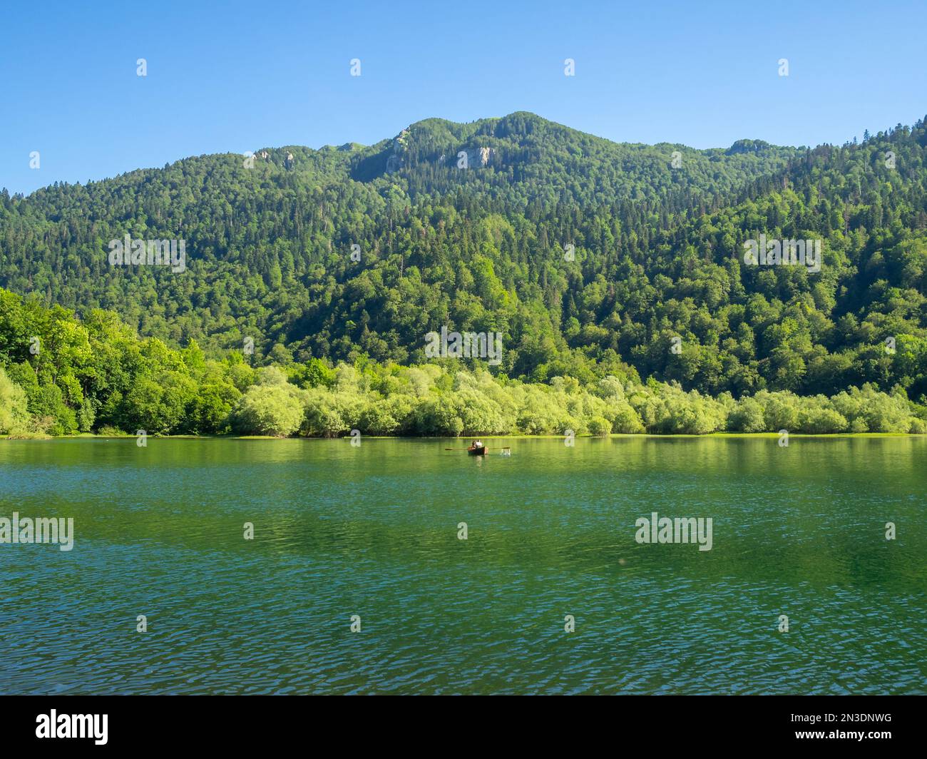 Beograd forest hi-res stock photography and images - Alamy
