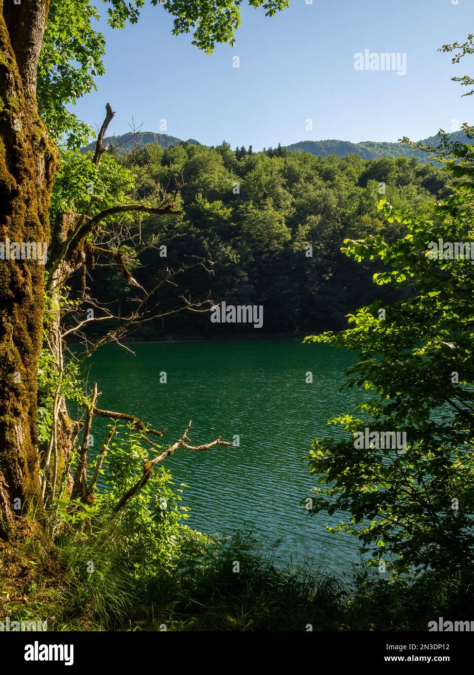 Lake Biograd landscape Stock Photo - Alamy