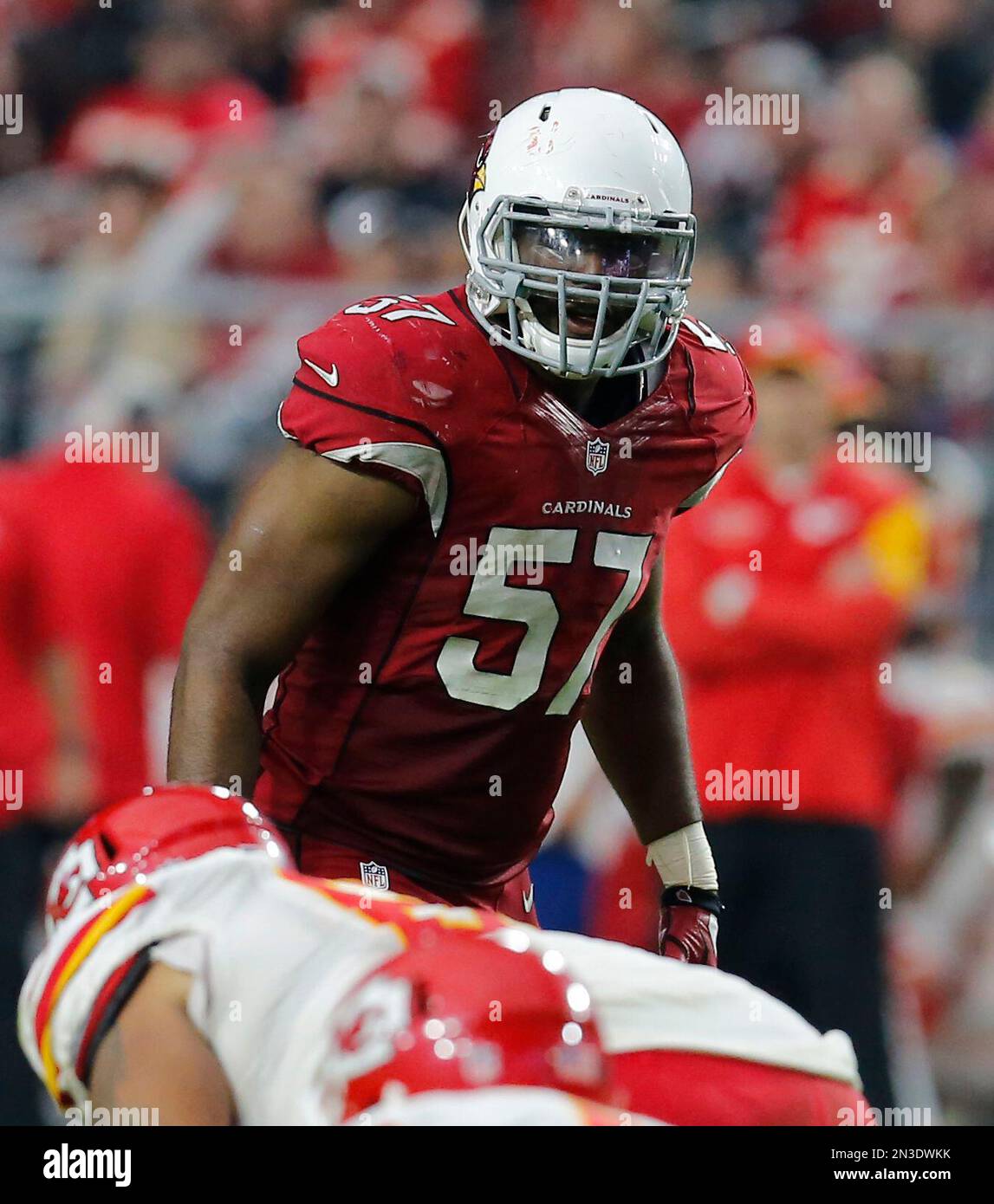 Alex Okafor Cardinals